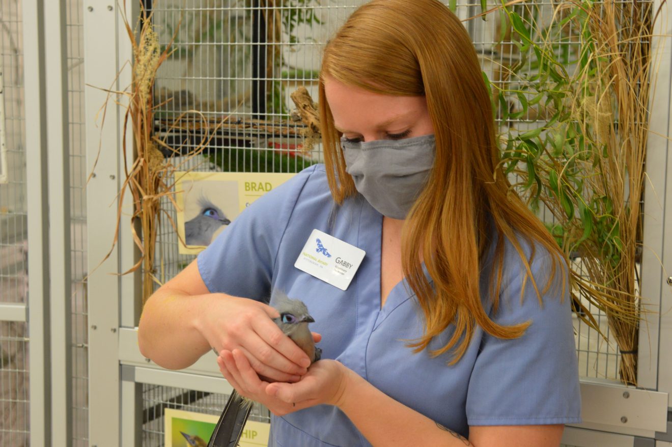 Senior Care | National Aviary