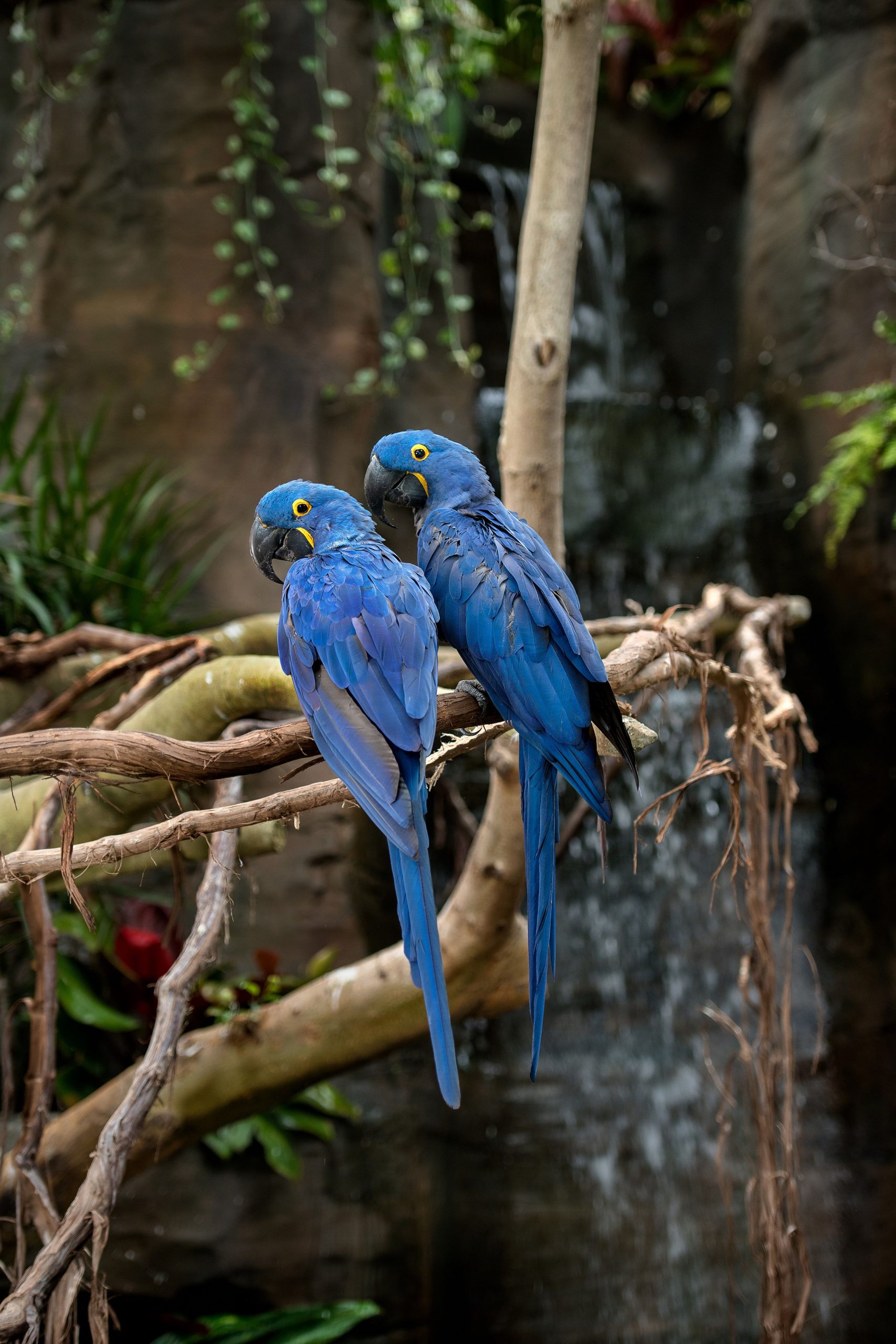 Meet & Tweets | National Aviary