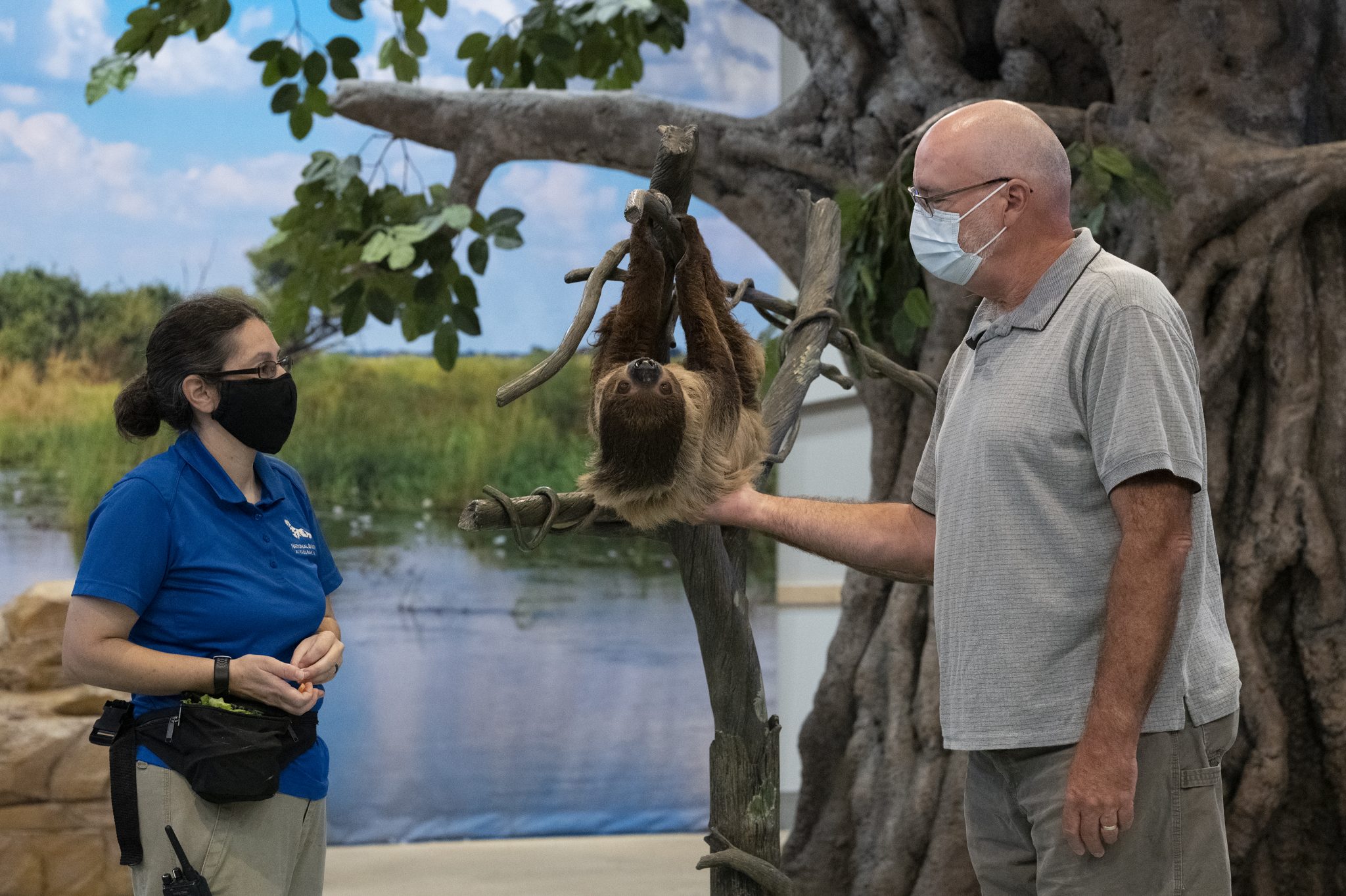 Sloth Encounter | National Aviary