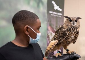 Owl Encounter | National Aviary