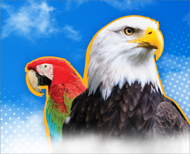 Visit | National Aviary