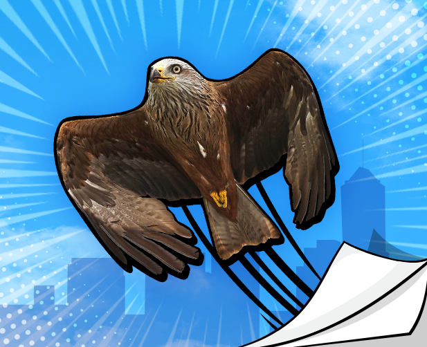 Visit | National Aviary