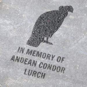Condor Court | National Aviary