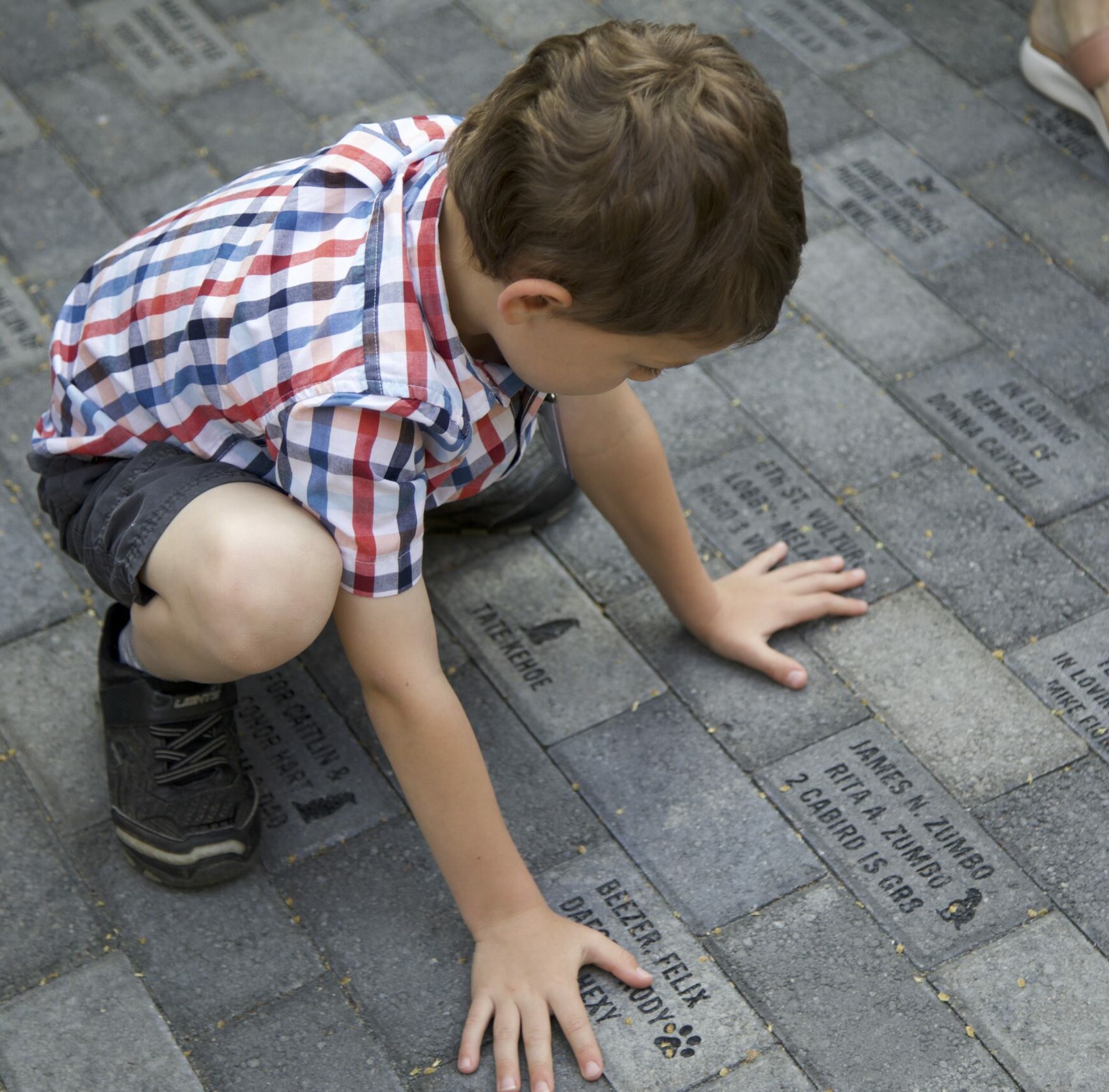 Weddings | National Aviary