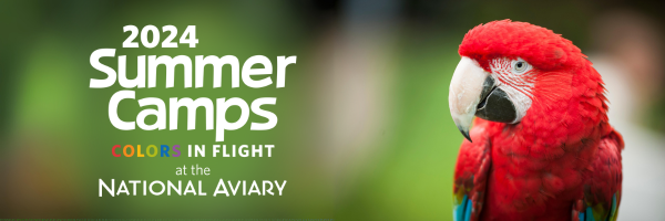 Camps | National Aviary