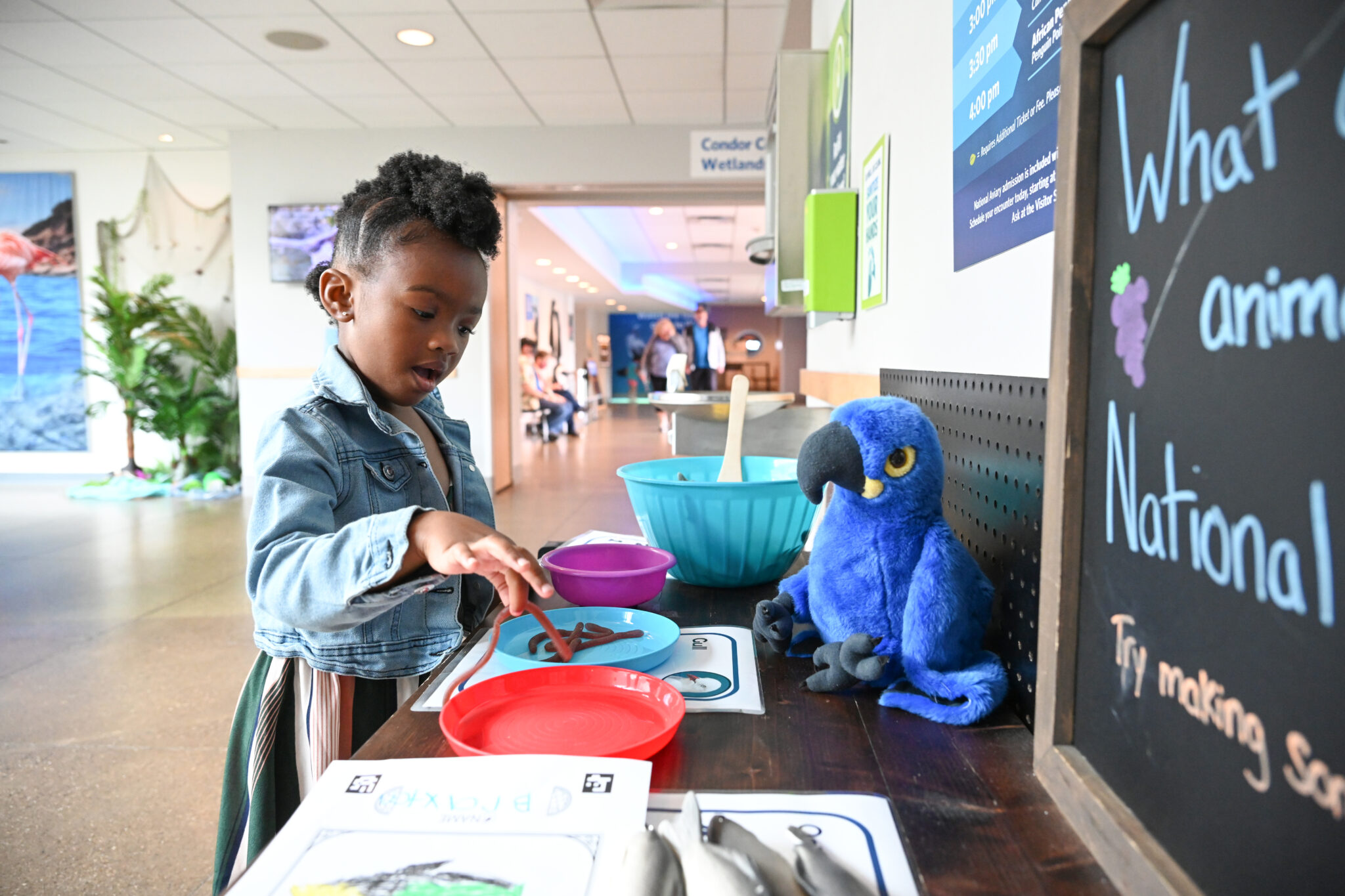 Allegheny Regional Asset District - National Aviary
