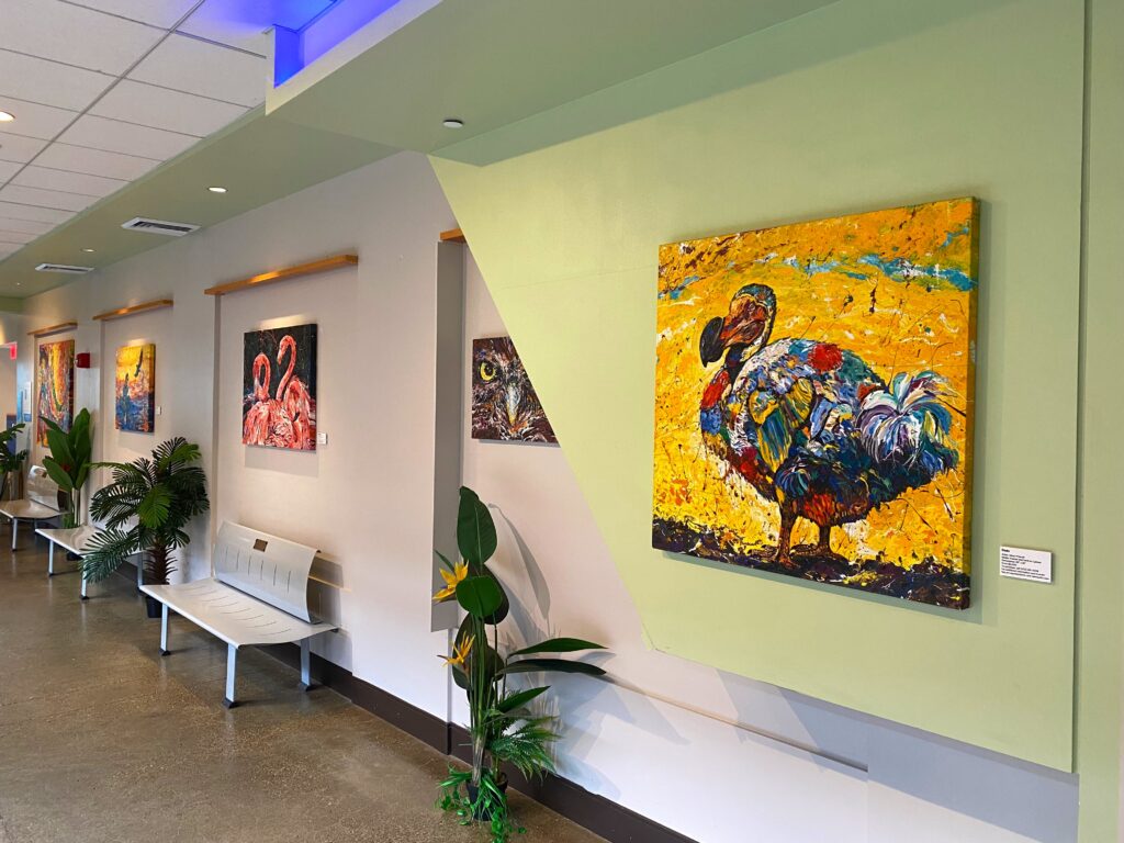 Nature as Art - National Aviary