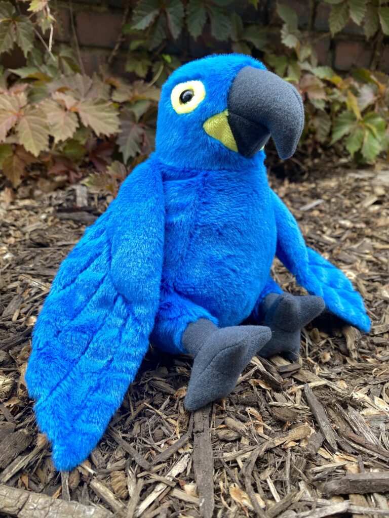 Memberships | National Aviary