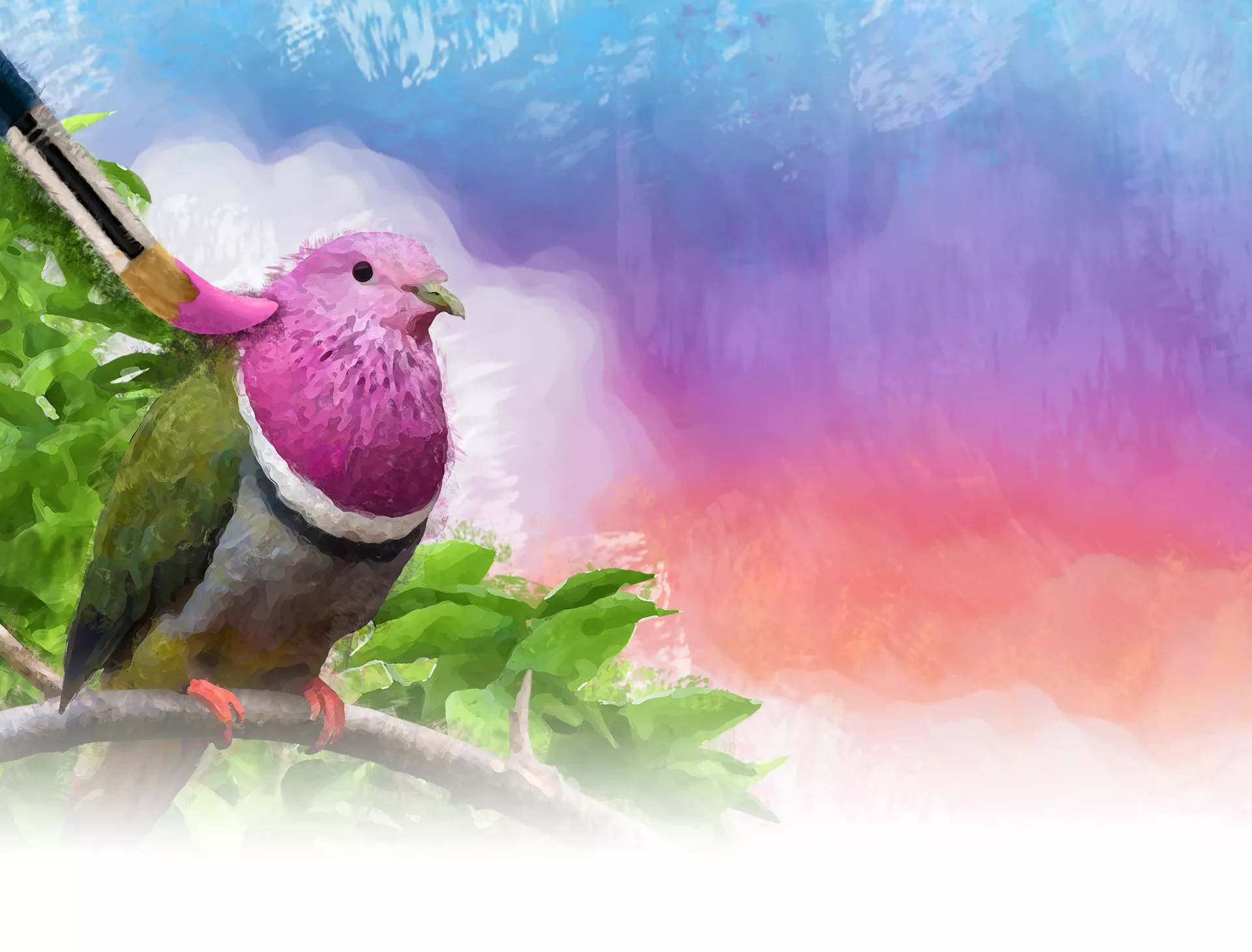 Visit | National Aviary