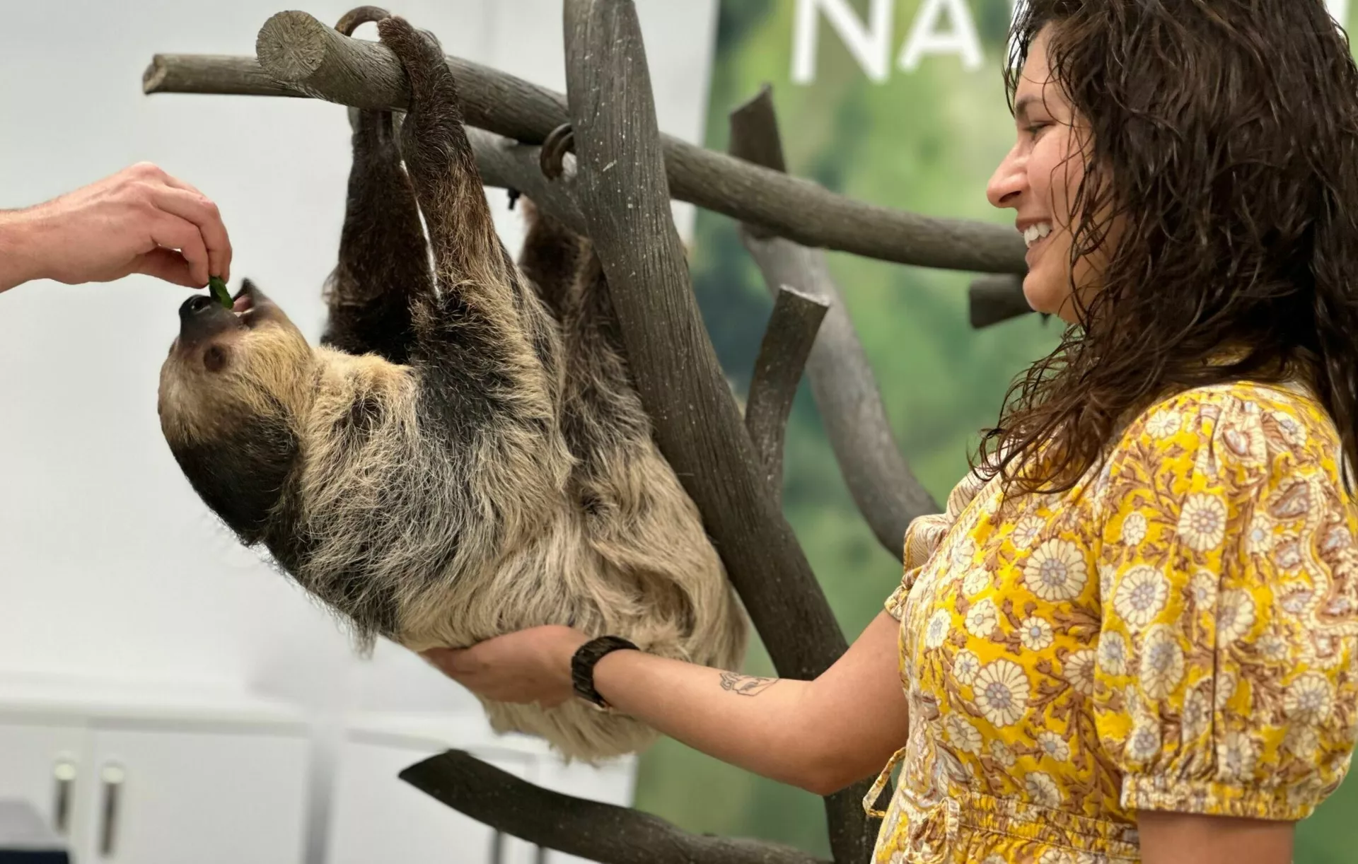 Sloth Encounter | National Aviary