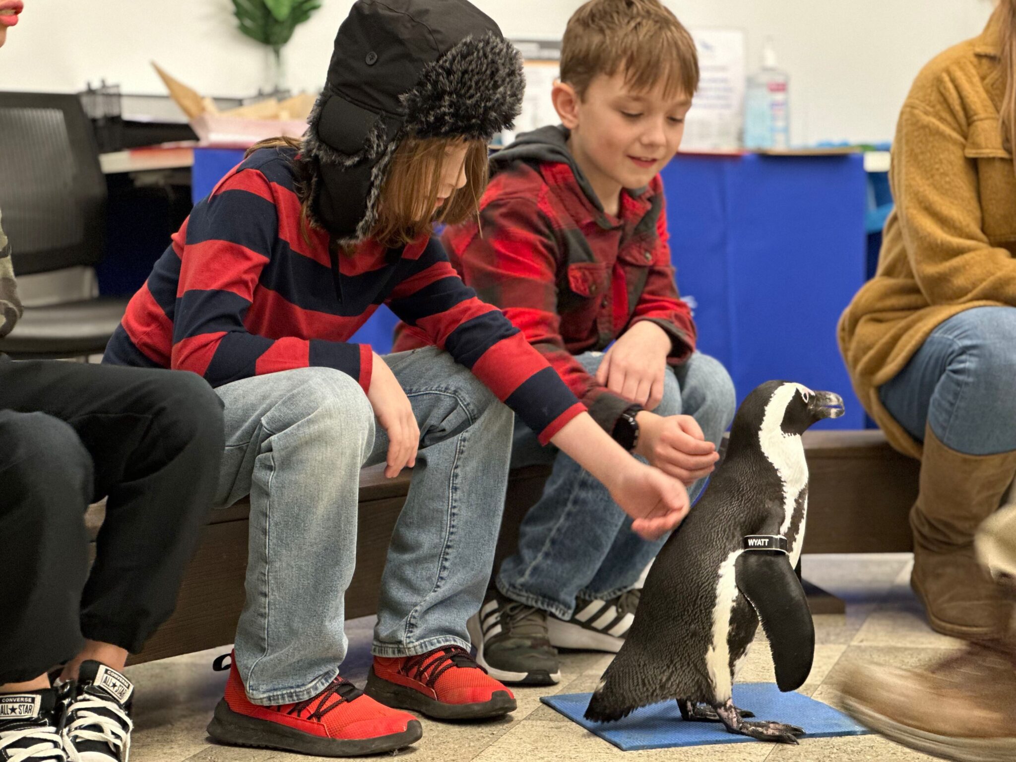Hours & Admissions | National Aviary