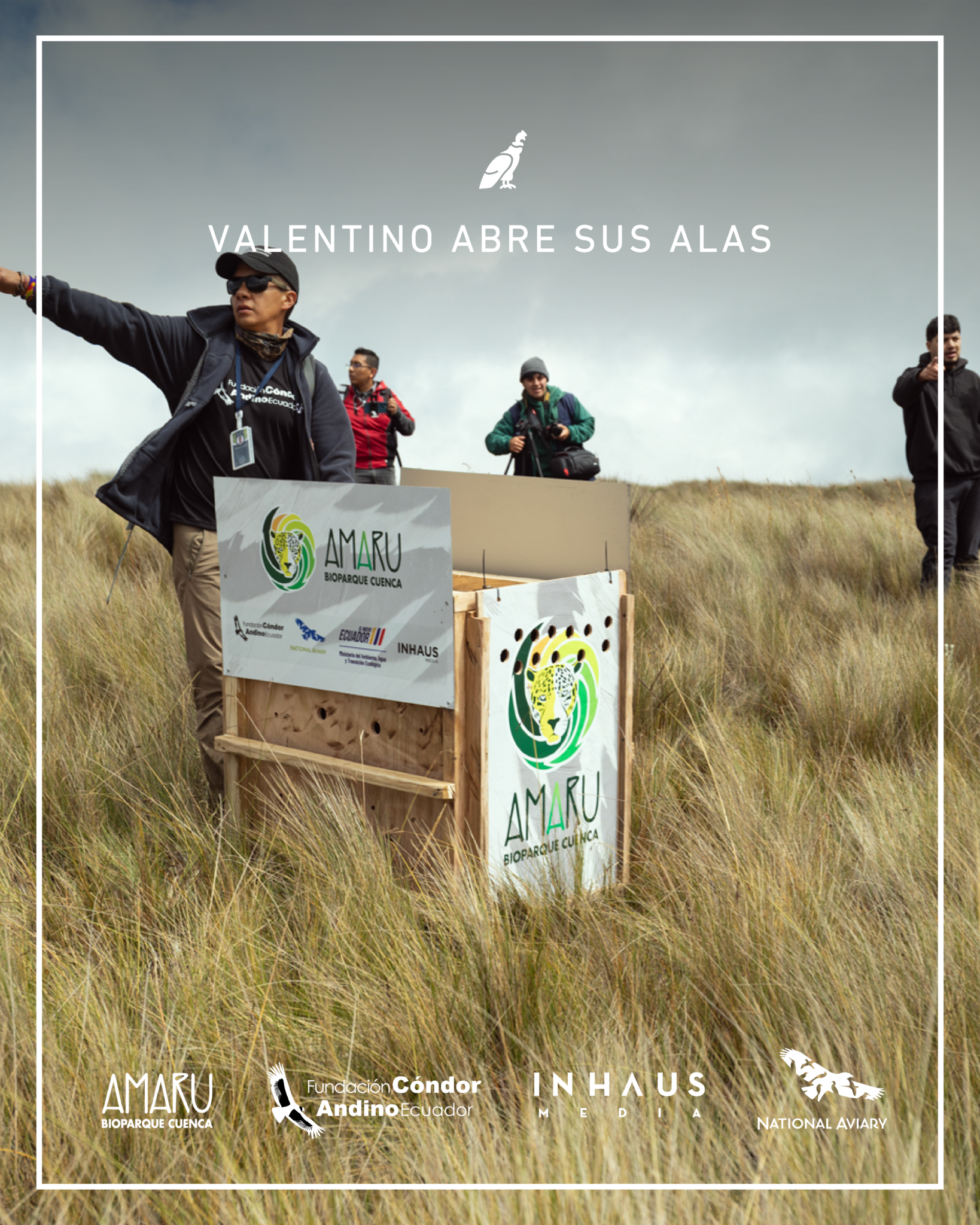 Valentino: The Condor that Could - National Aviary