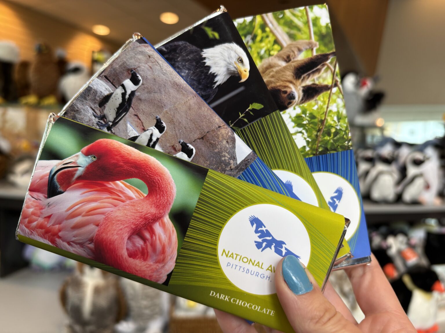 Green Team - National Aviary